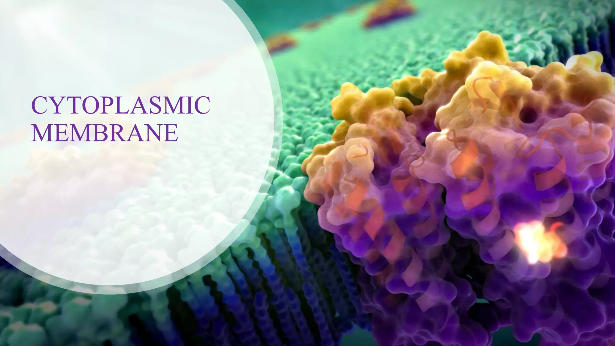 Cell components | PPT
