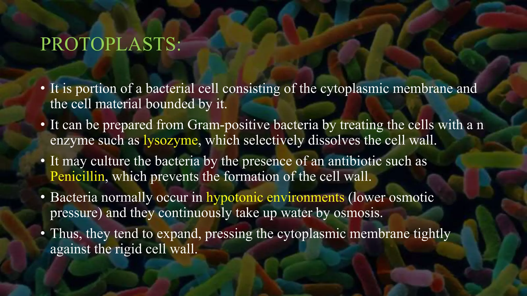 Cell components | PPT