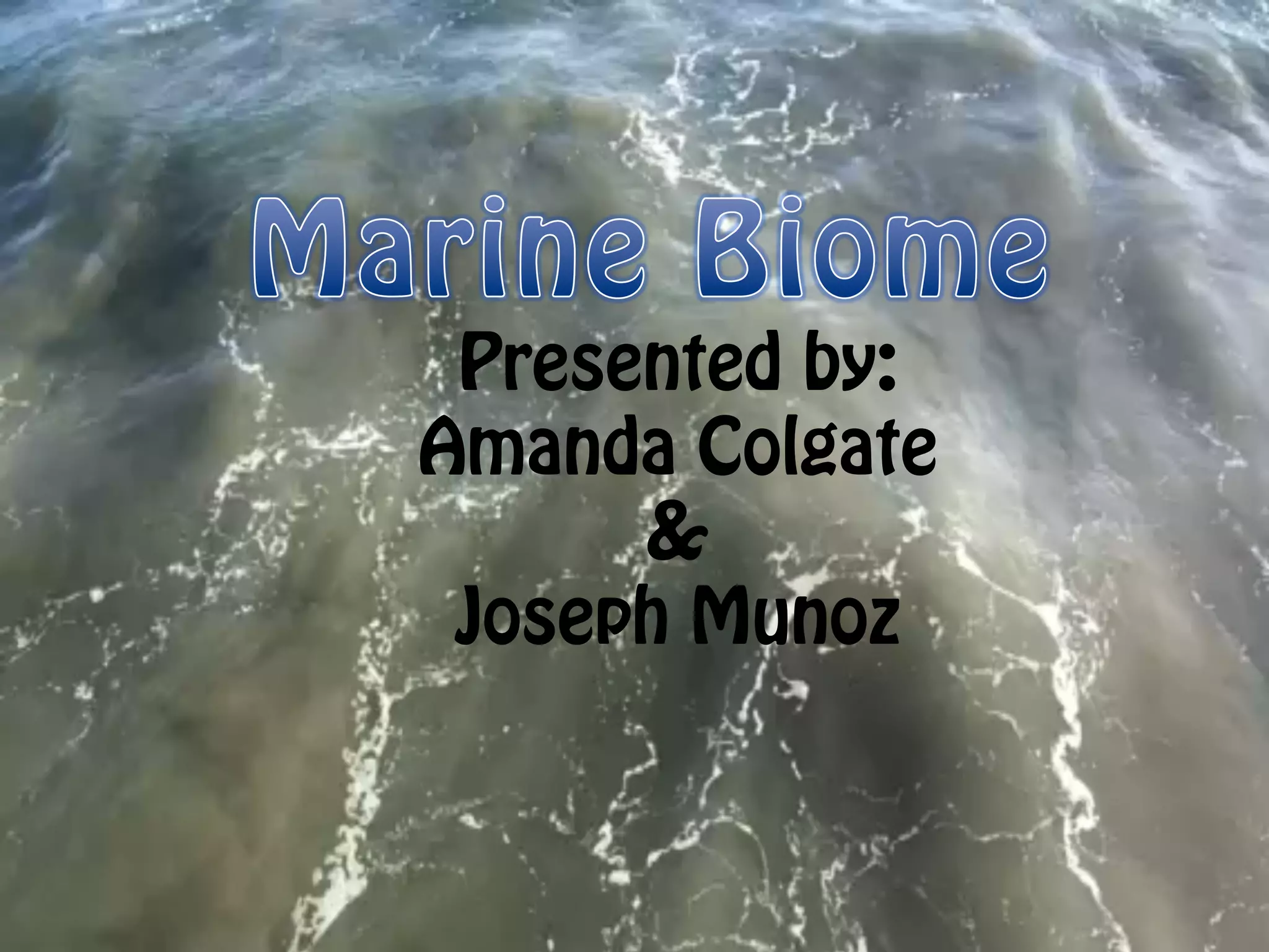 Marine biome 2 | PDF