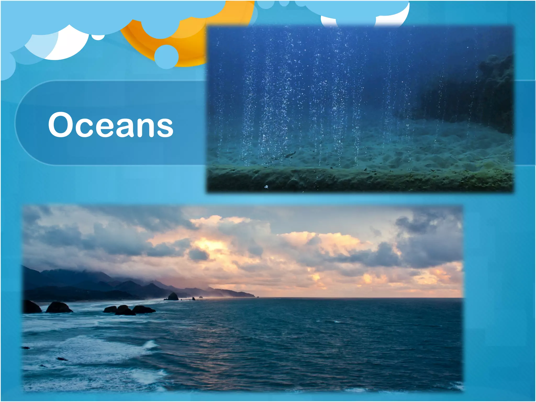 Marine biome 2 | PDF