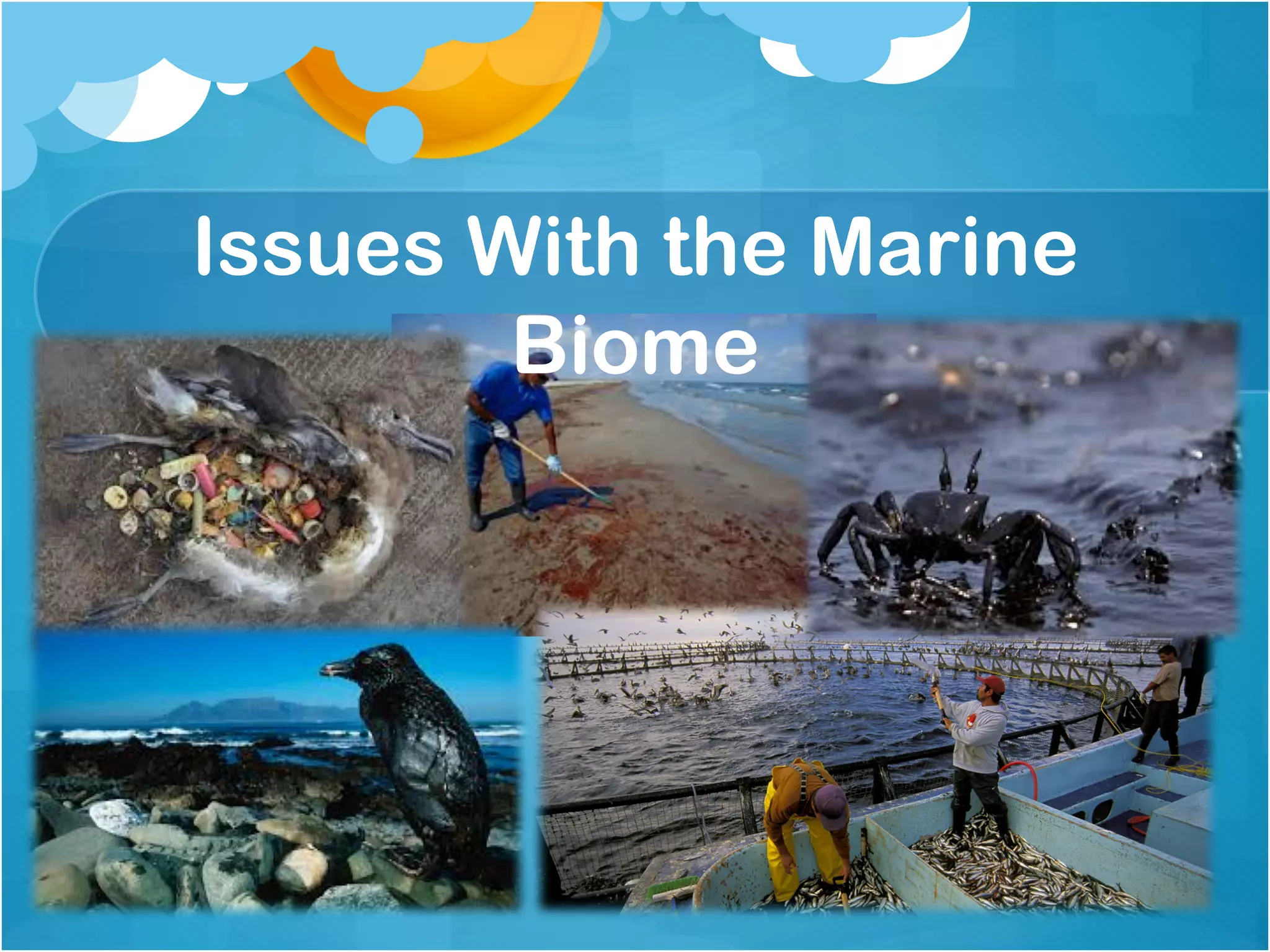 Marine biome 2 | PDF