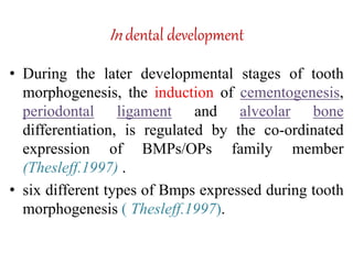 Bone Morphogenatic Protein | PPTX
