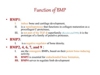 Bone Morphogenatic Protein | PPTX