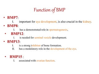 Bone Morphogenatic Protein | PPTX
