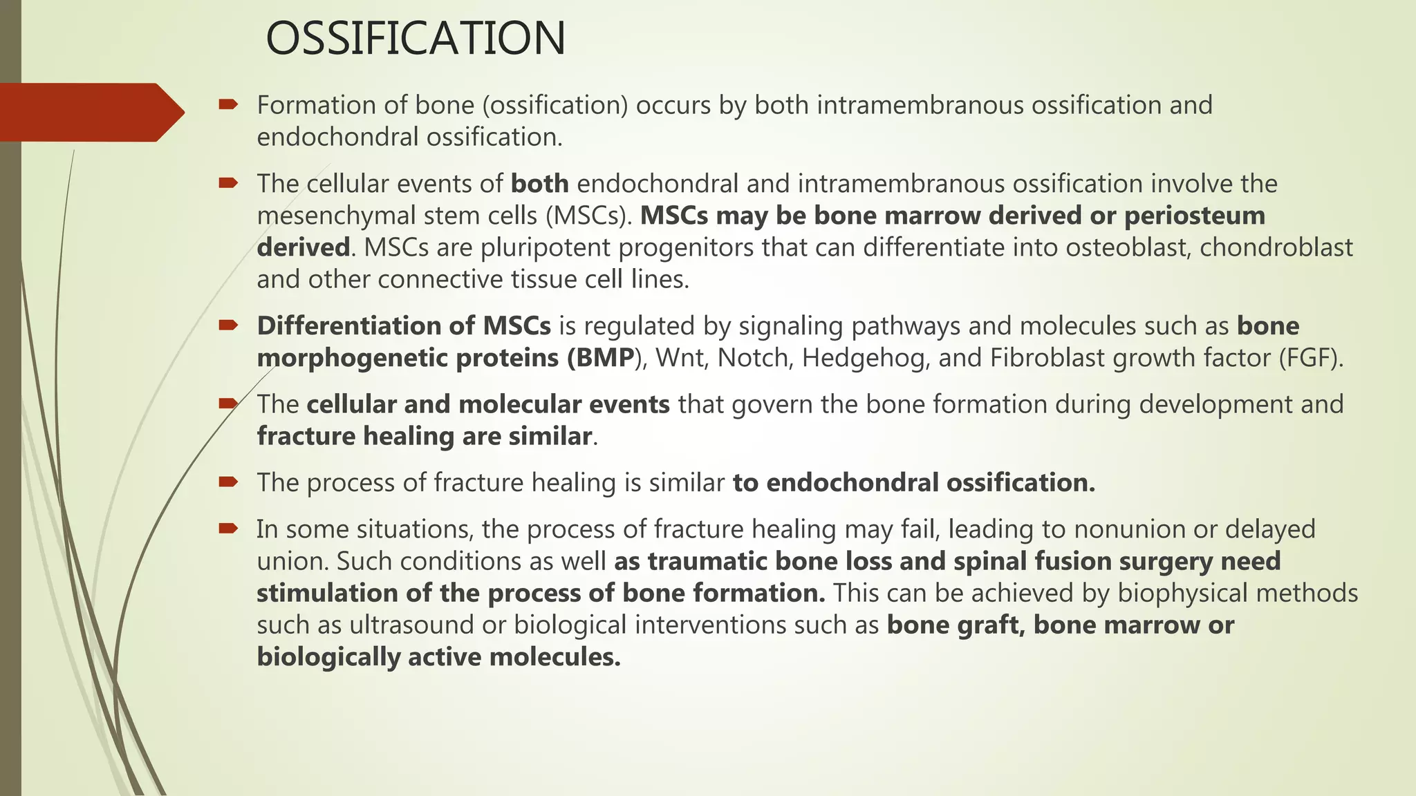 Bone Morphogenetic Proteins | PPTX