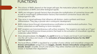 Bone Morphogenetic Proteins | PPTX