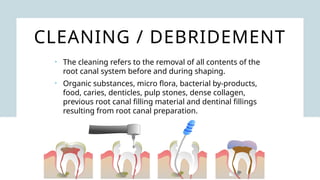 BIO MECHANICAL PREPARATION IN ROOT CANAL TREATMENT.pptx