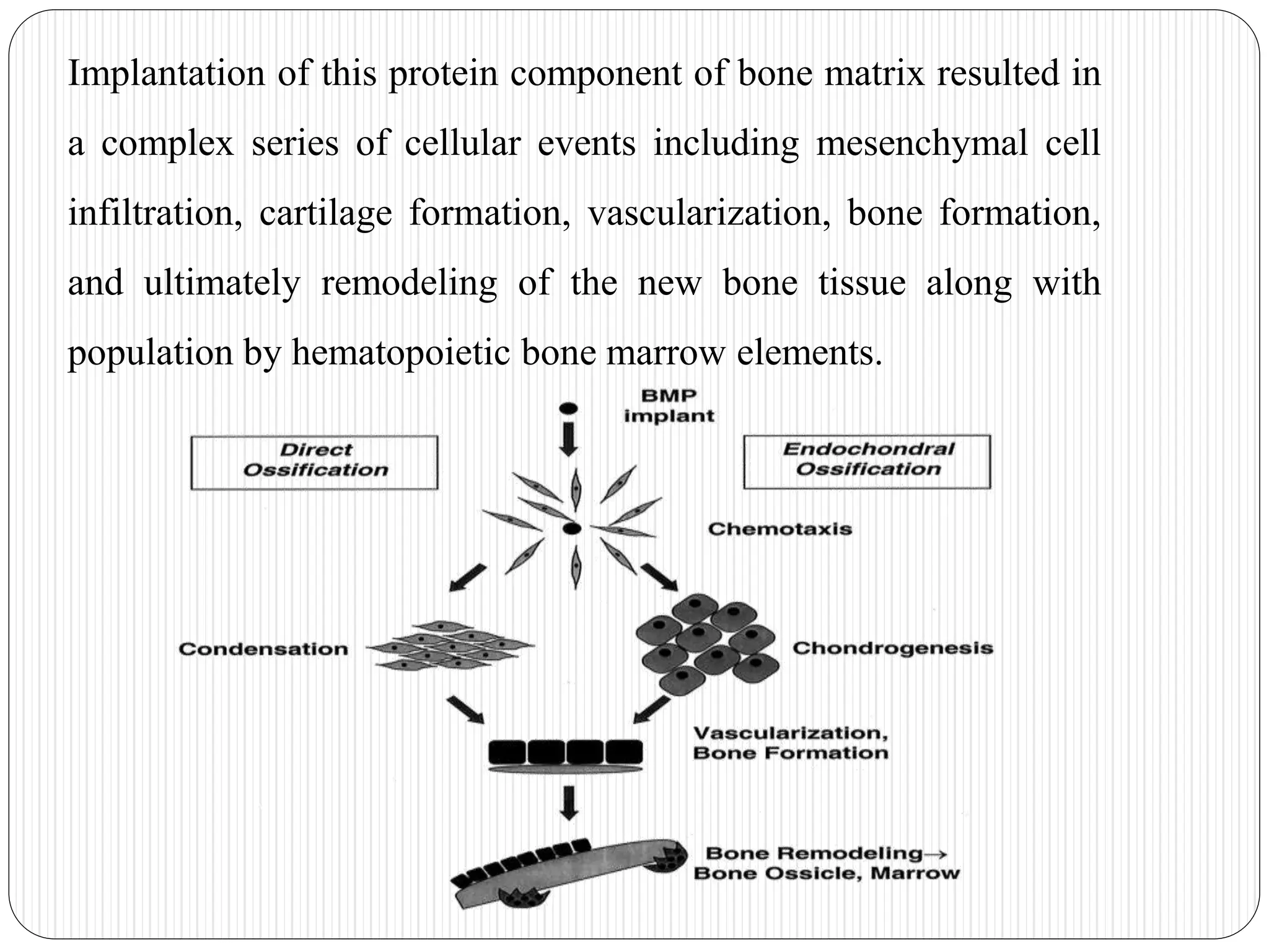 Bone morphogenic proteins | PPTX