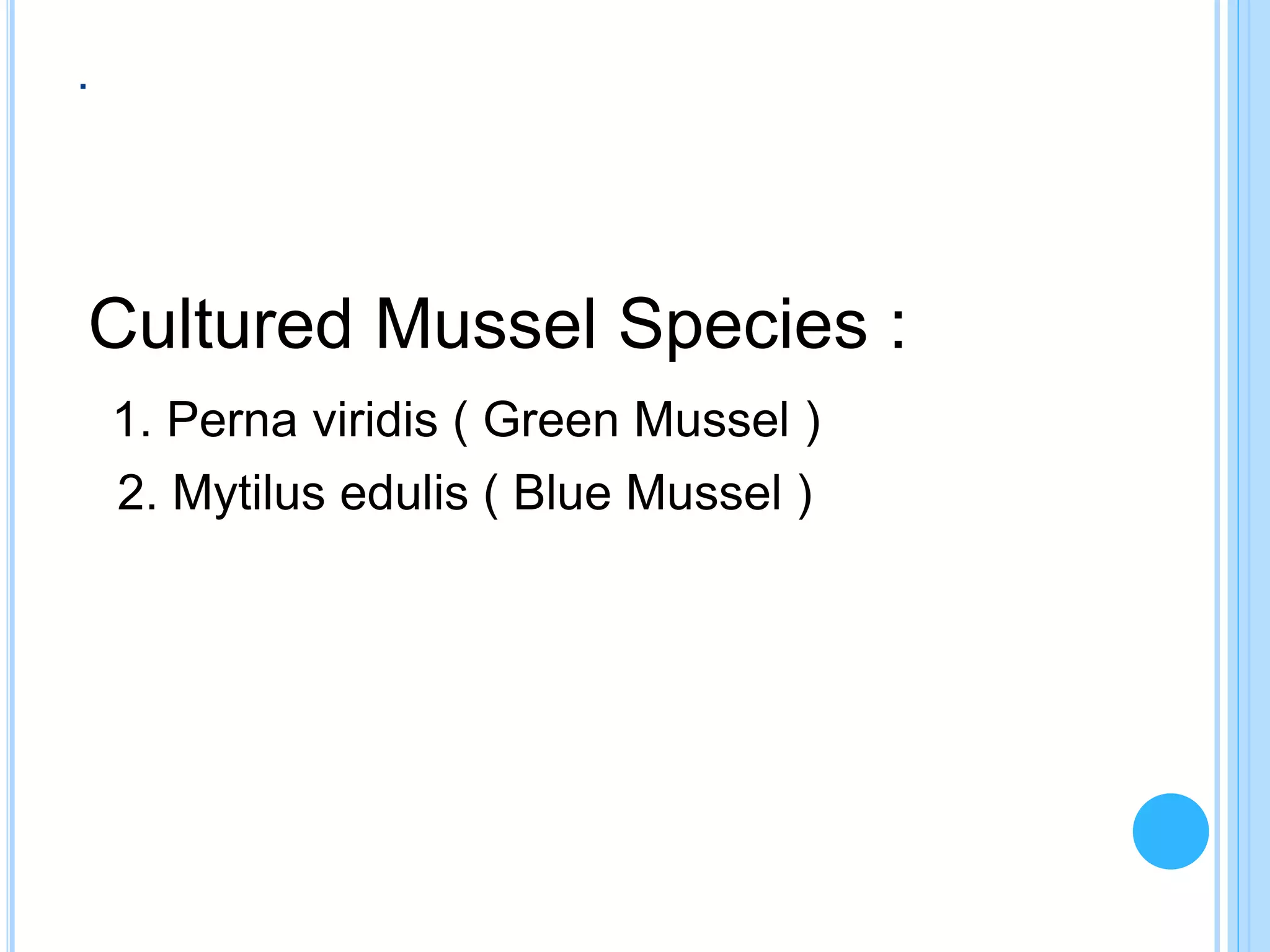 Bmp ( best management practice) culture method of mussels | PPTX