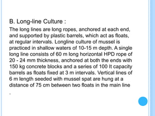Bmp ( best management practice) culture method of mussels | PPTX