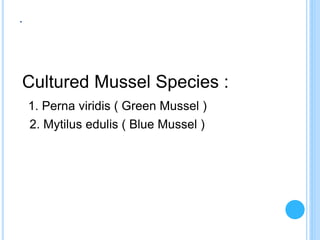 Bmp ( best management practice) culture method of mussels | PPTX