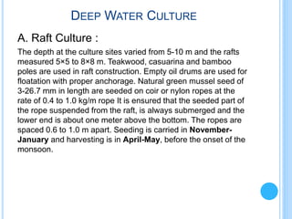 Bmp ( best management practice) culture method of mussels | PPTX