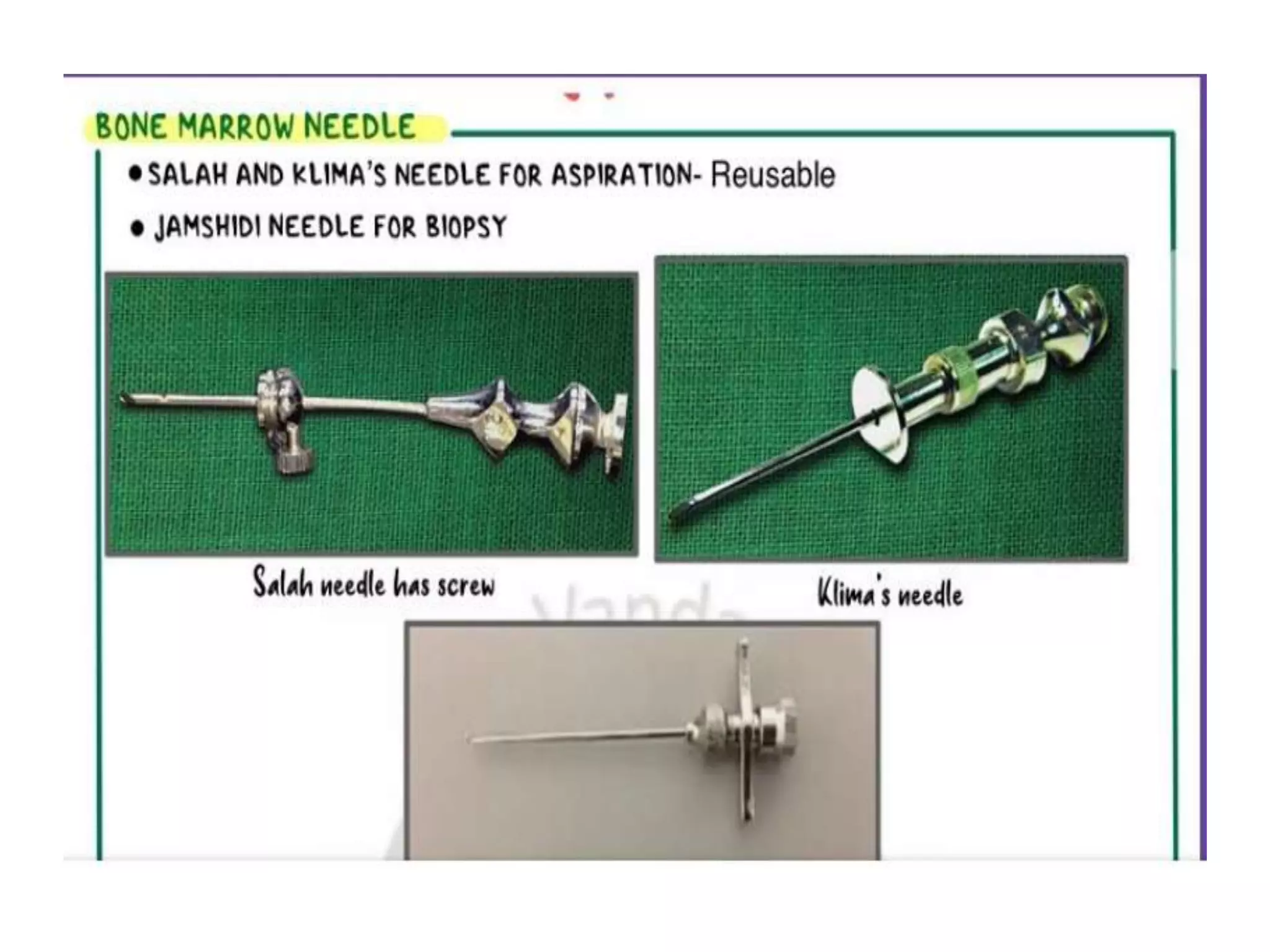 BM PHOTOS.pptx | Free Download