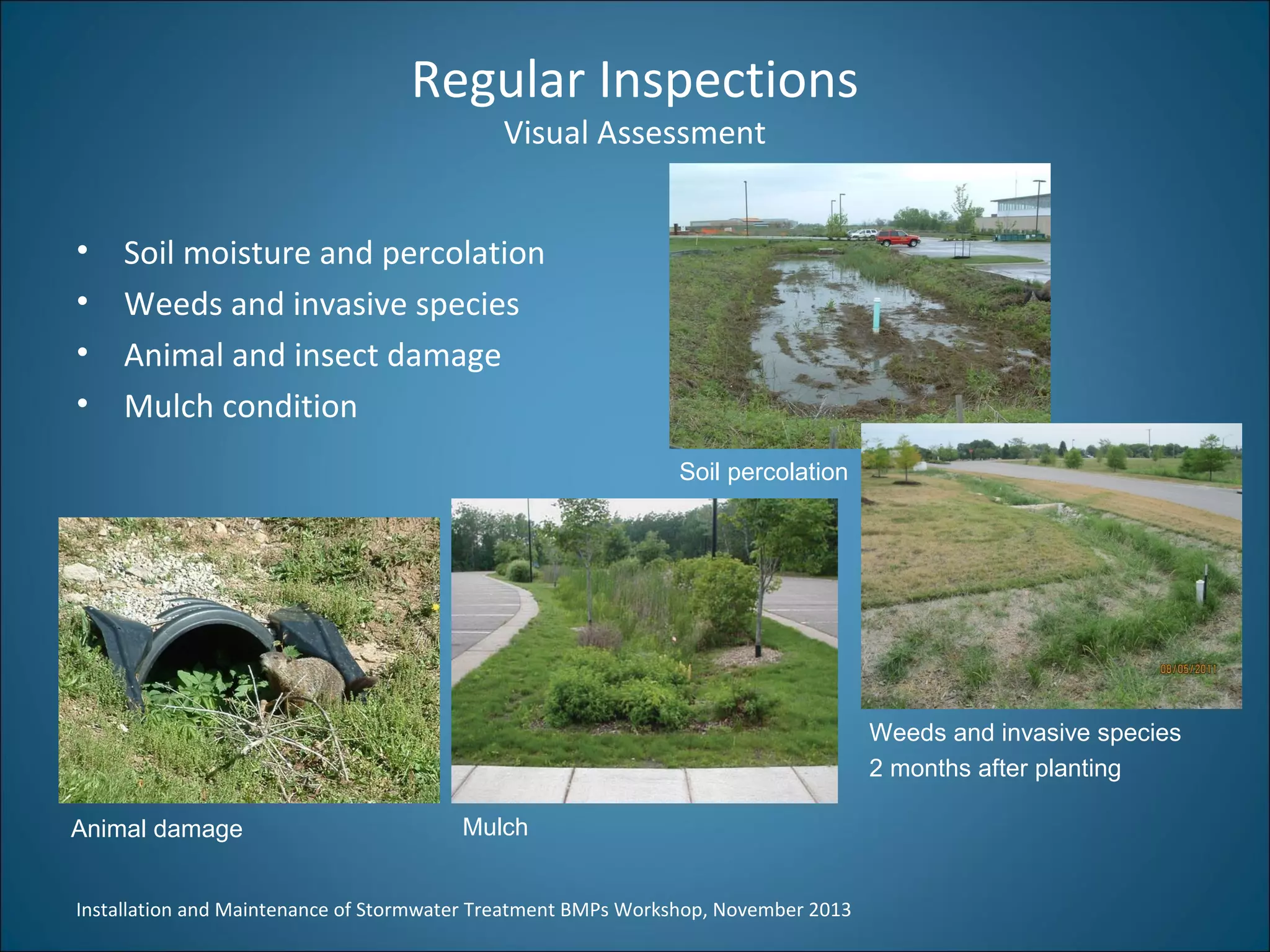 BMP maintenance | PPT