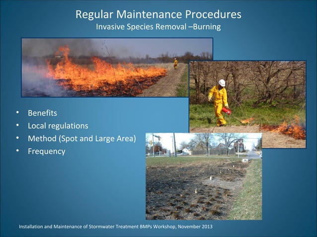 BMP maintenance | PPT