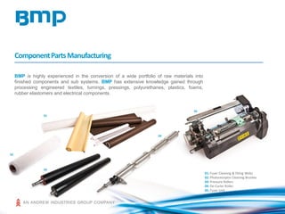 BMP Presentation | PDF