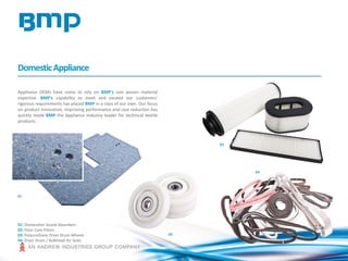 BMP Presentation | PDF