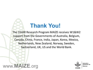 Maize in Asia – Status, Challenges and Opportunities | PPT