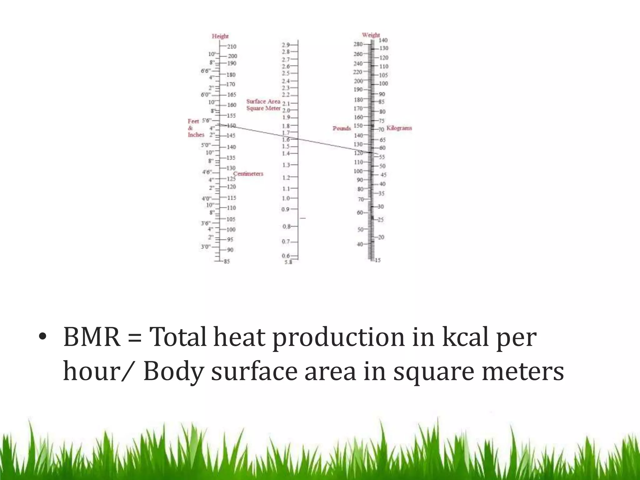 BASAL METABOLIC RATE | PPTX