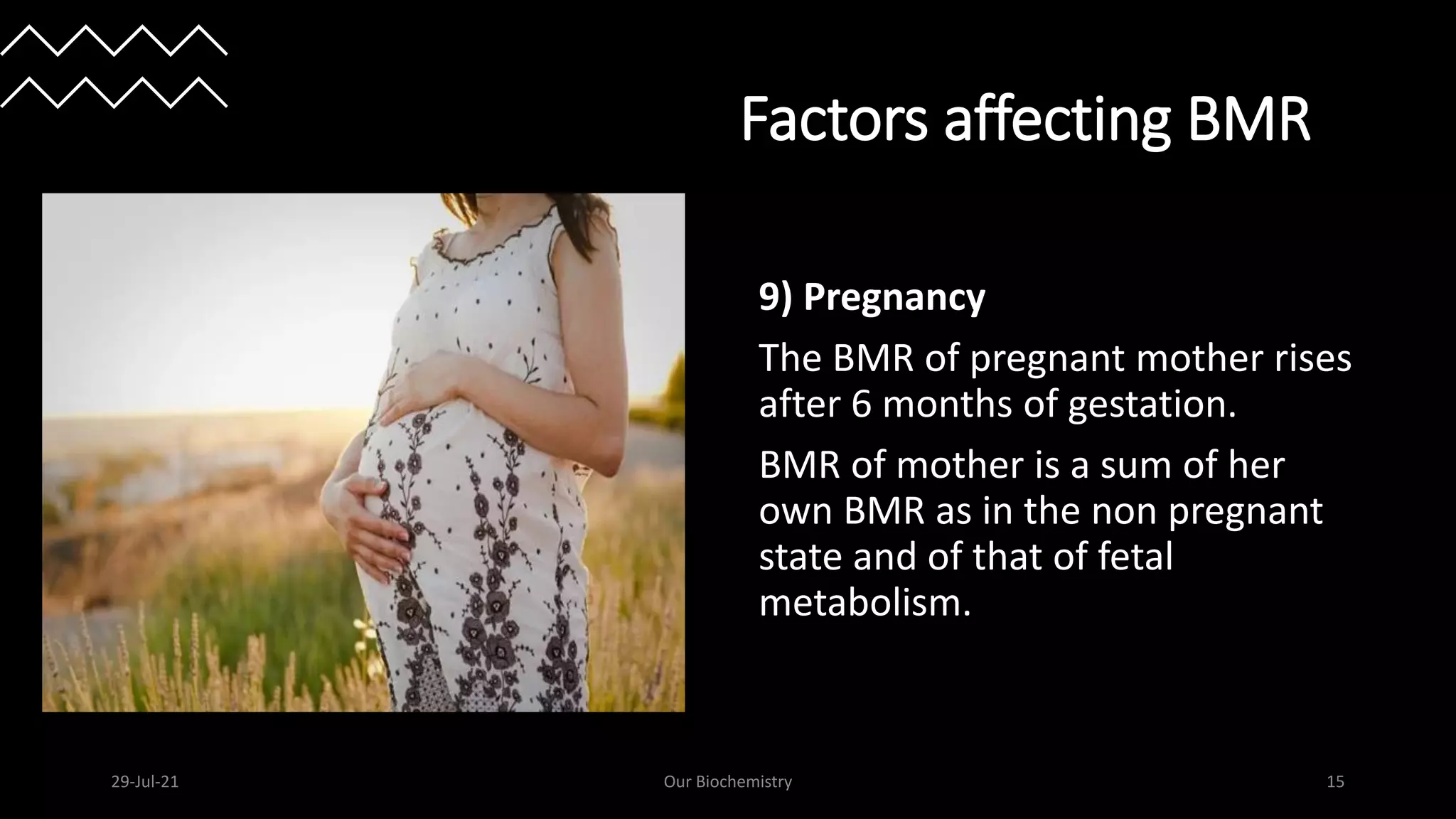 Basal metabolic rate (BMR)- Factors affecting BMR, measurement and ...