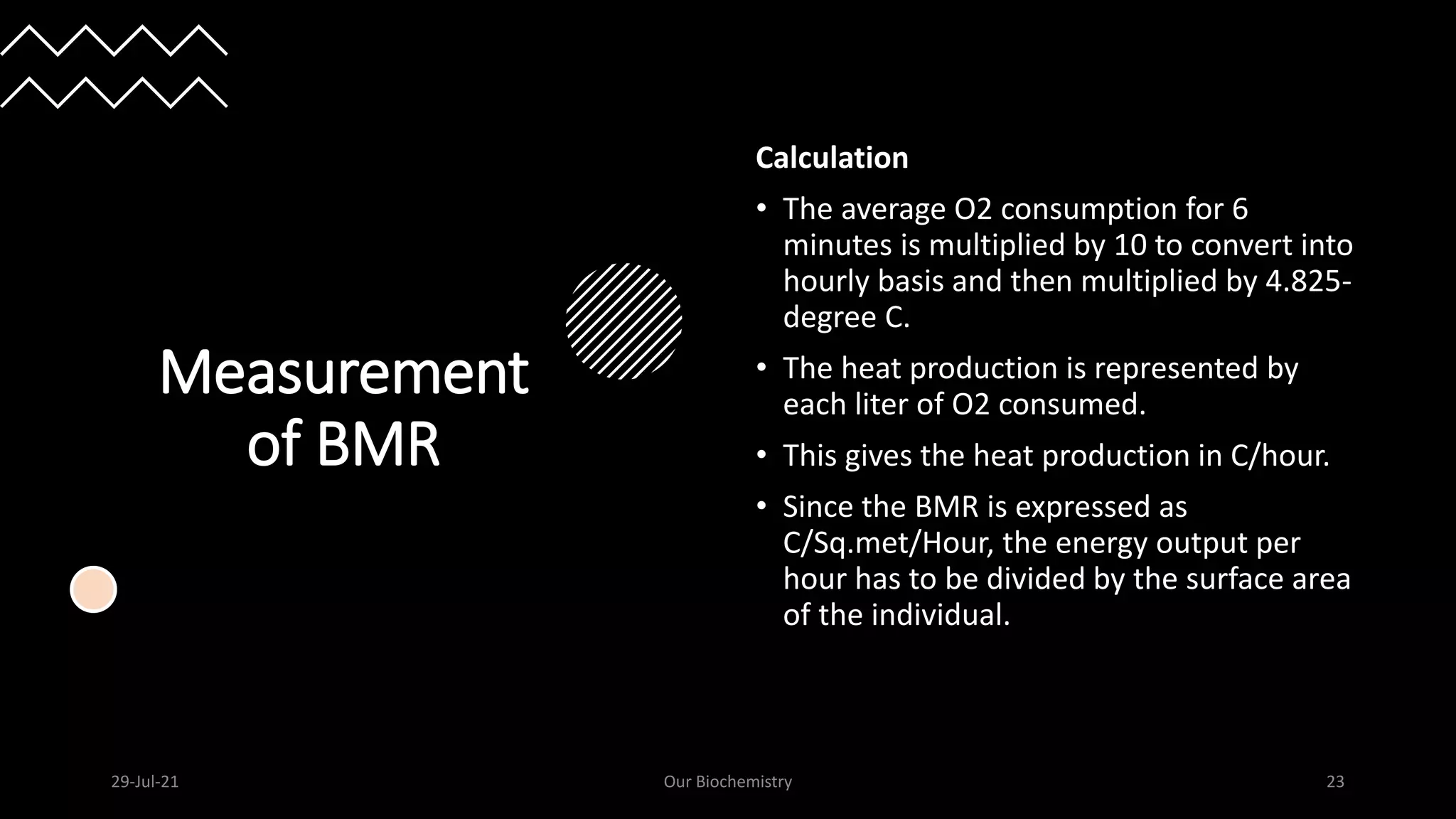 Basal metabolic rate (BMR)- Factors affecting BMR, measurement and ...