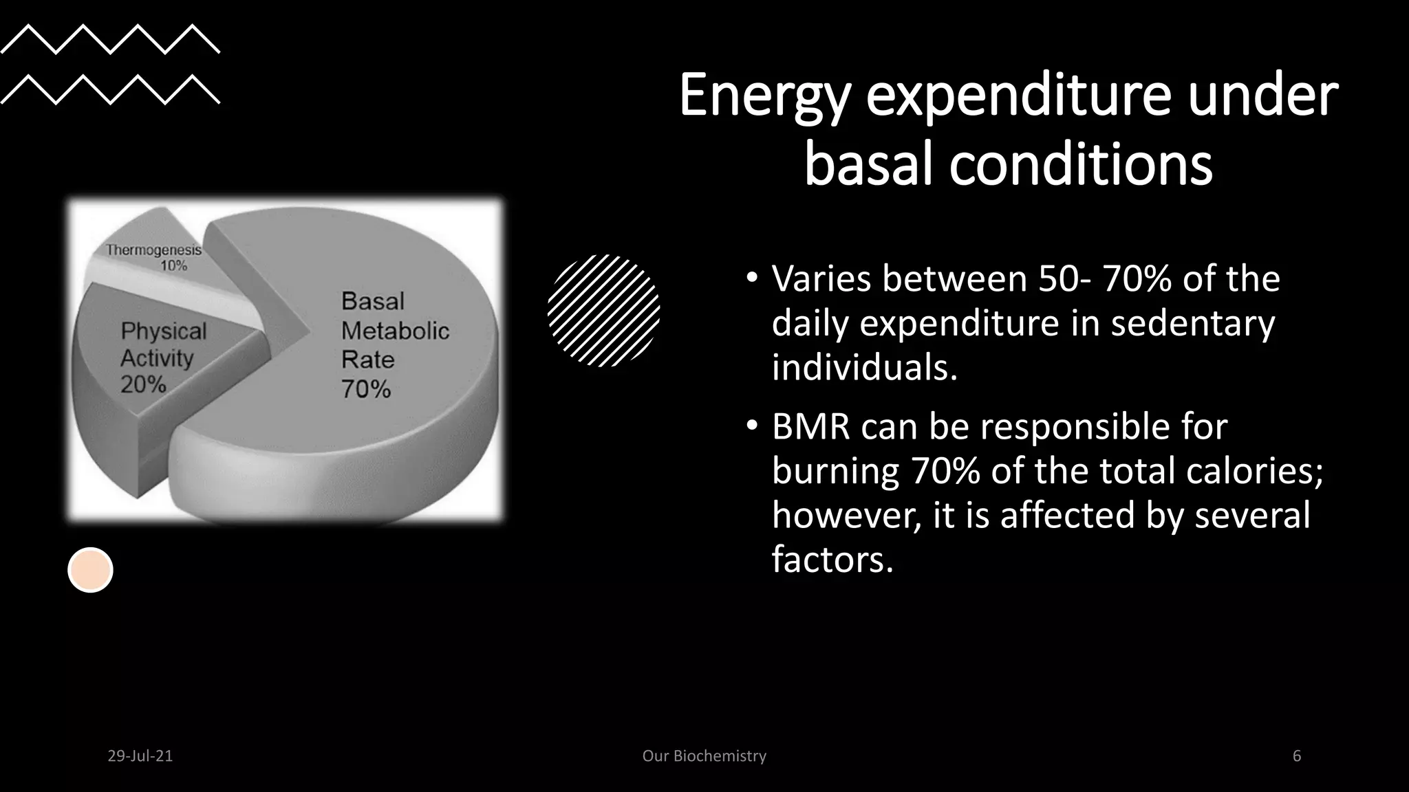 Basal metabolic rate (BMR)- Factors affecting BMR, measurement and ...