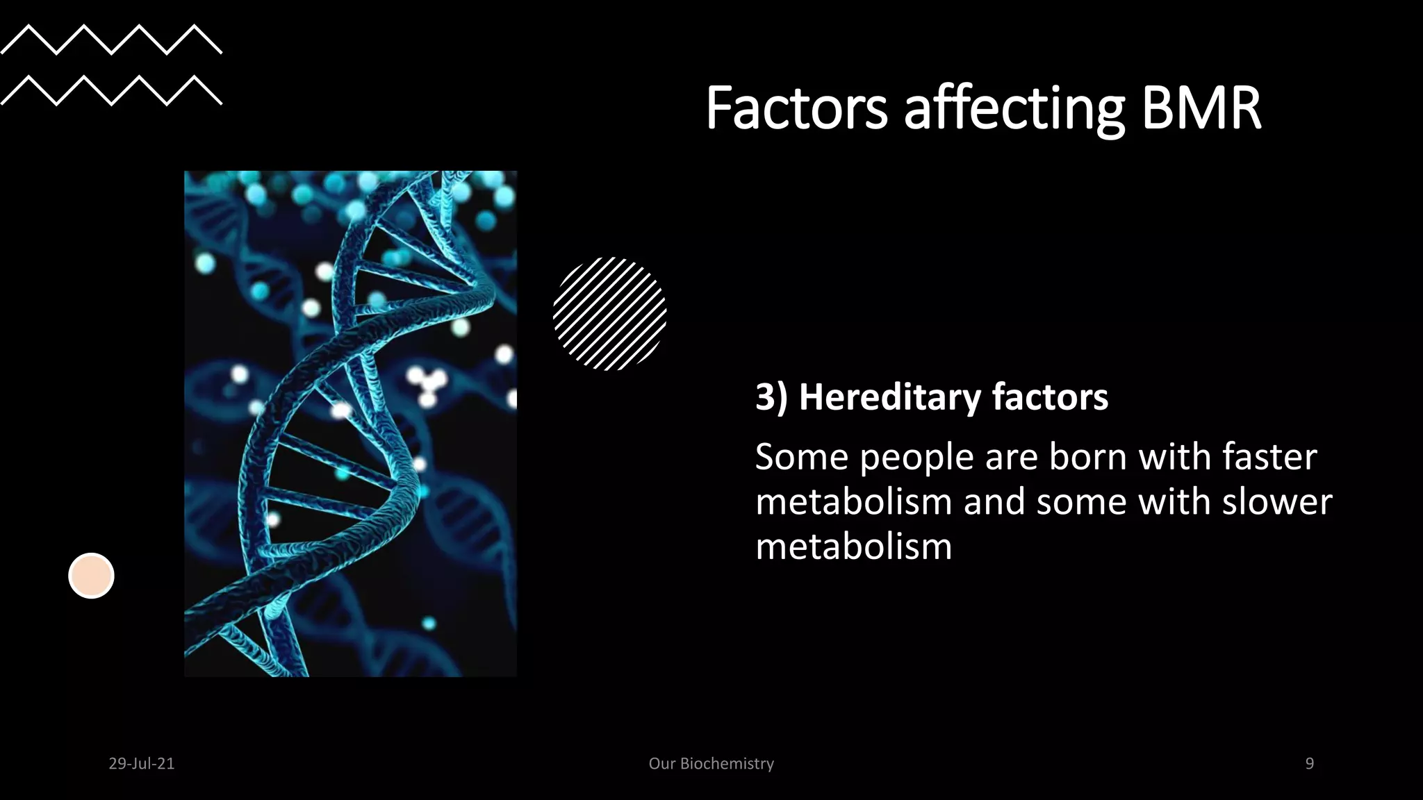 Basal metabolic rate (BMR)- Factors affecting BMR, measurement and ...