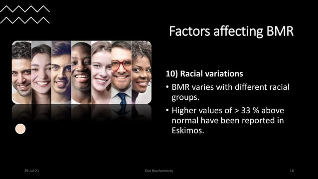 Basal metabolic rate (BMR)- Factors affecting BMR, measurement and ...