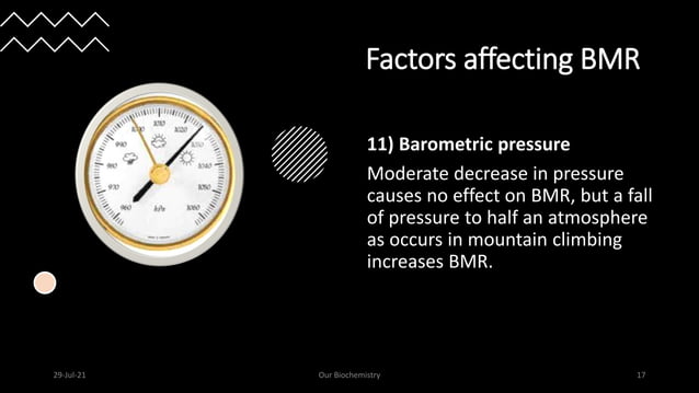 Basal metabolic rate (BMR)- Factors affecting BMR, measurement and ...