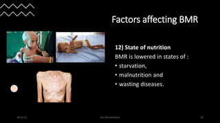 Basal metabolic rate (BMR)- Factors affecting BMR, measurement and ...