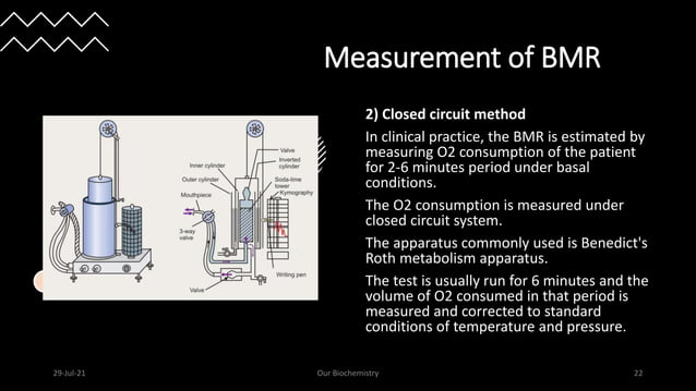 Basal metabolic rate (BMR)- Factors affecting BMR, measurement and ...