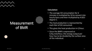 Basal metabolic rate (BMR)- Factors affecting BMR, measurement and ...