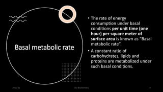 Basal metabolic rate (BMR)- Factors affecting BMR, measurement and ...