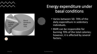 Basal metabolic rate (BMR)- Factors affecting BMR, measurement and ...