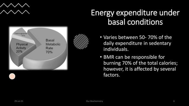 Basal metabolic rate (BMR)- Factors affecting BMR, measurement and ...