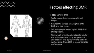 Basal metabolic rate (BMR)- Factors affecting BMR, measurement and ...