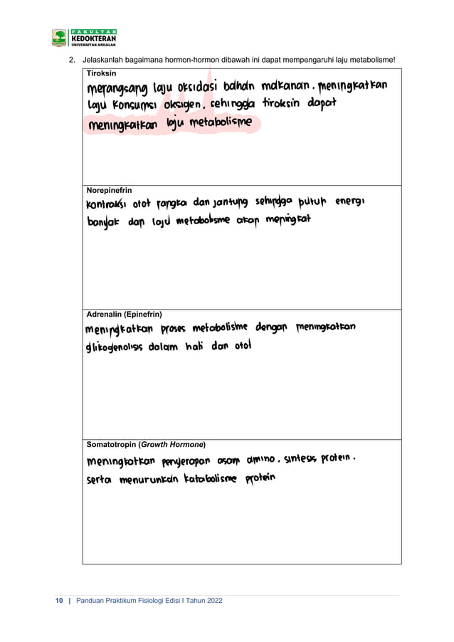 BMR - Indirect Calorimetry Arief.pdf