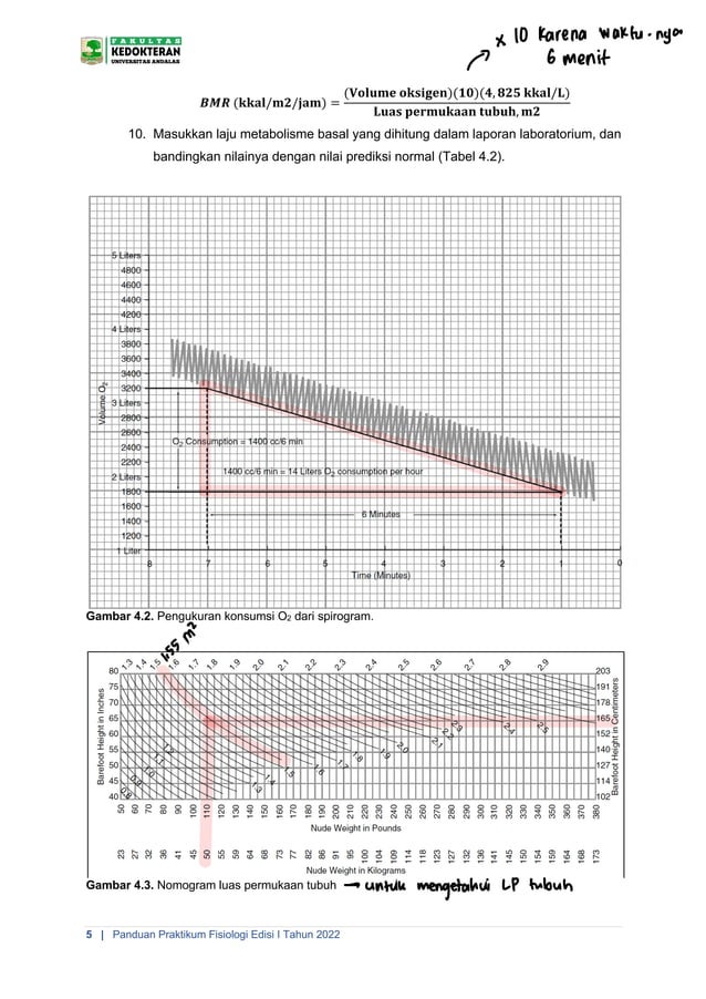 BMR - Indirect Calorimetry Arief.pdf