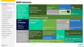 BMR advisors - Risk & Advisory Services | PDF
