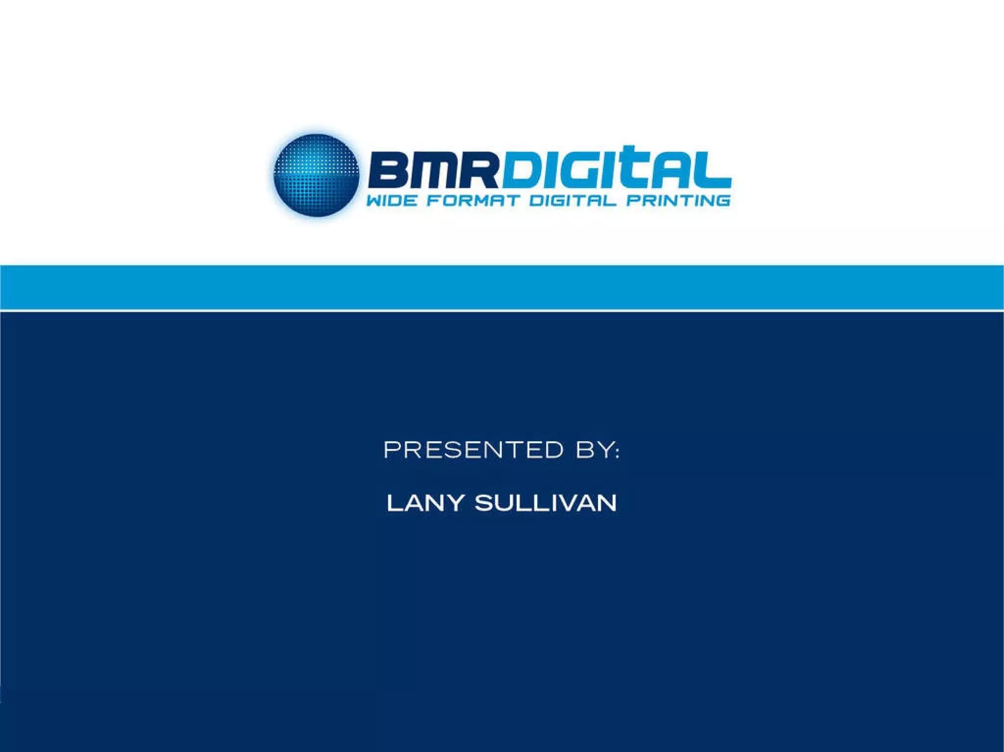 BMR Capabilities 2010 | PPT