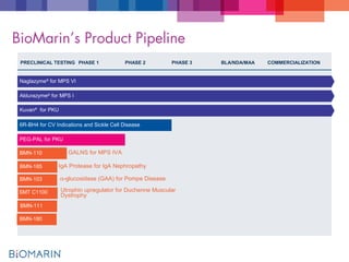 BioMarin Team Masters Project Public Presentation | PPT