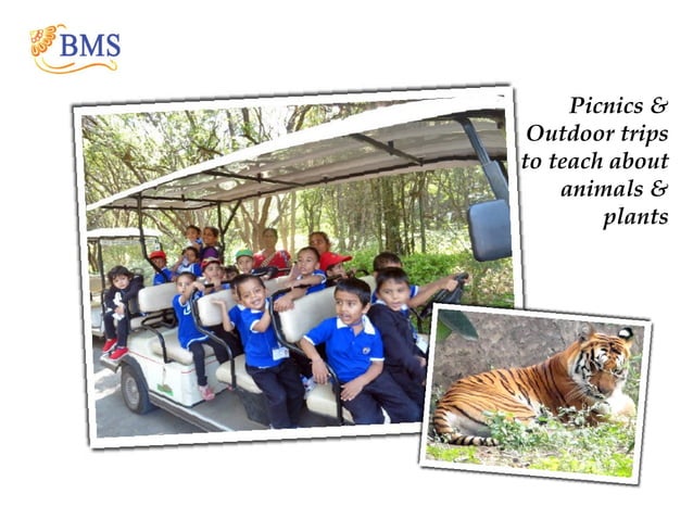 Bms overview-activities-plan | PPT