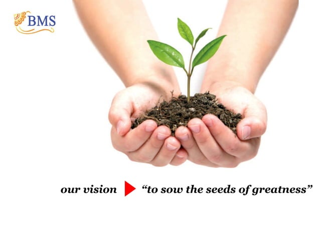 Bms overview-activities-plan | PPT