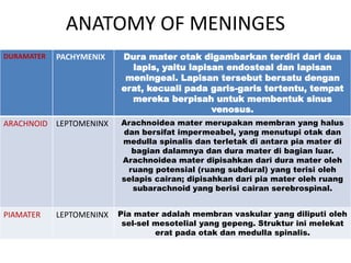 BMS1 K16 INFECTIONS OF THE CENTRAL NERVOUS SYSTEM Radang 1.ppt