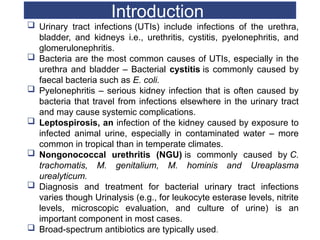 BMS4102 - URINARY TRACT INFECTIONS AND STIS | PPT