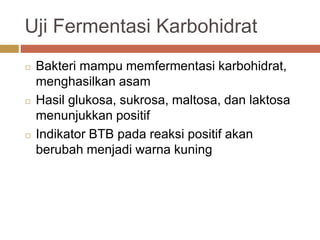 Identifikasi Bakteri Staphylococcus Aureus | PPT