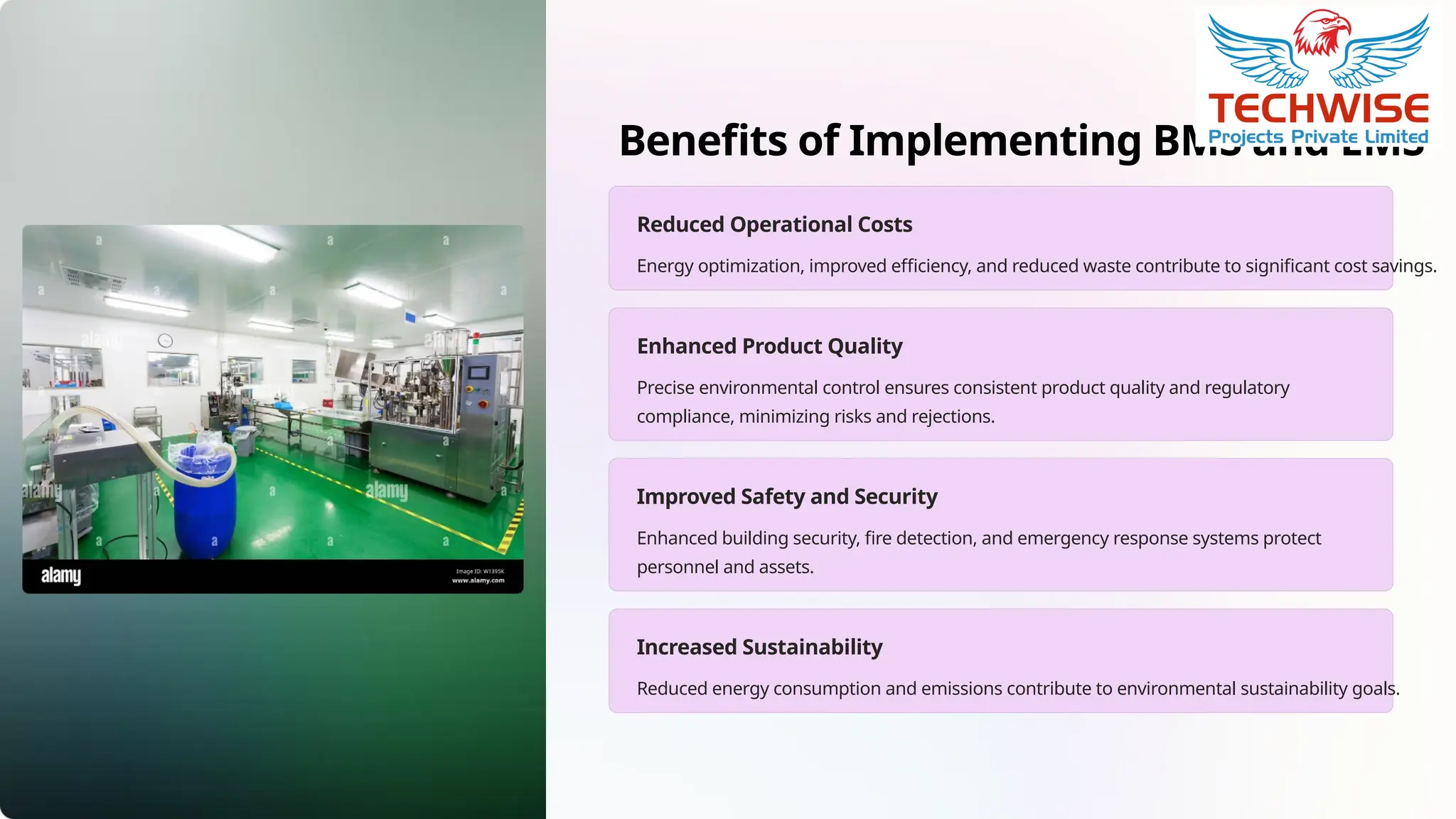 BMS and EMS for a pharma by TECHWISE.pptx
