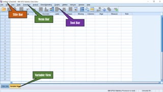 IBM SPSS Statistics Interface - Navigation | PPT