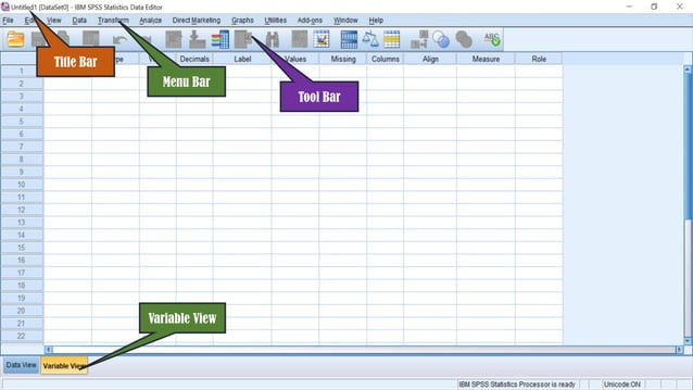 IBM SPSS Statistics Interface - Navigation | PPT