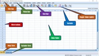 IBM SPSS Statistics Interface - Navigation | PPT